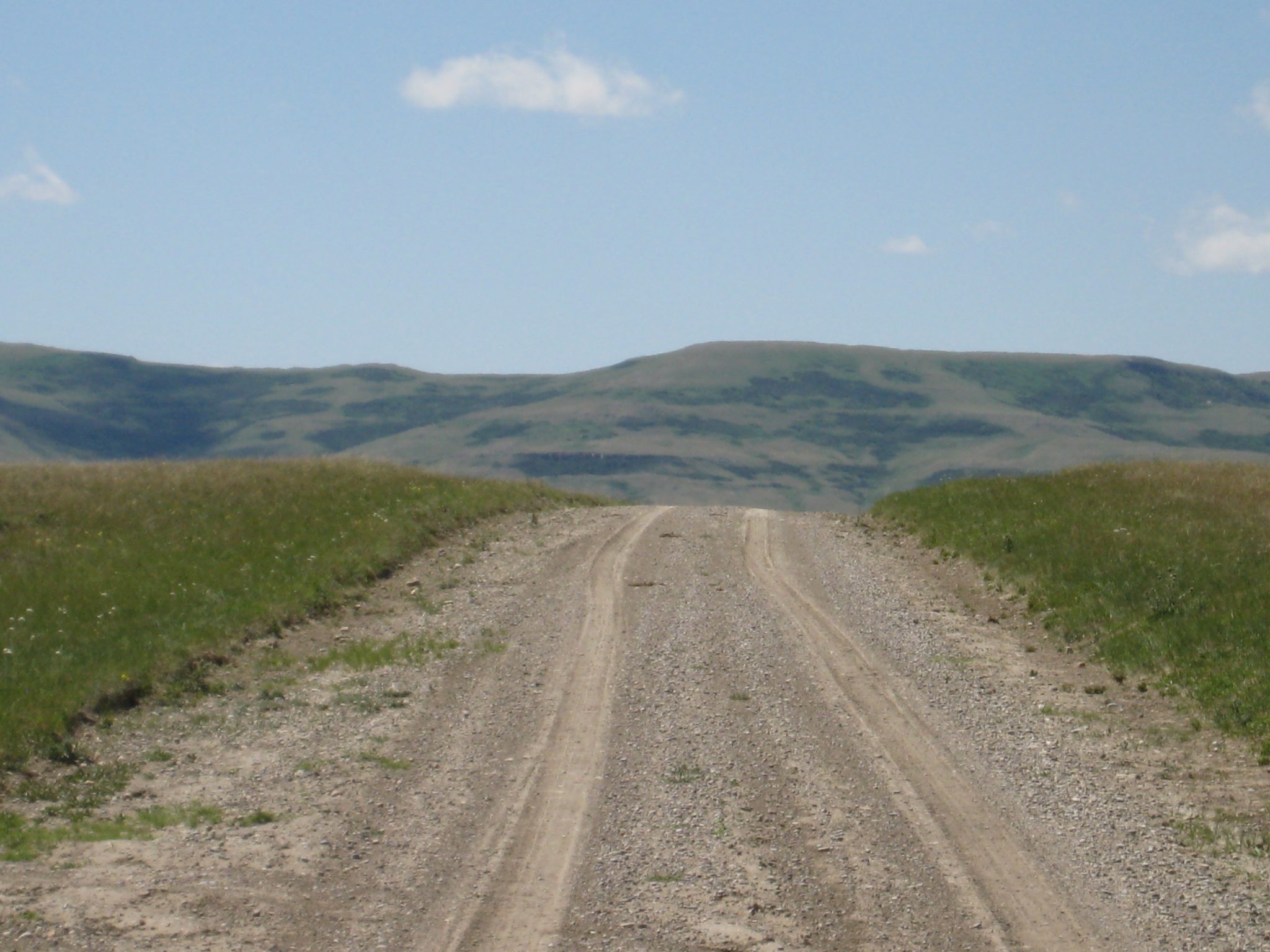 Fact Sheets - Verified Beef Production Plus